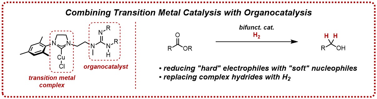 Catalytic hydrogenation and bifunctional catalysts | Research ...