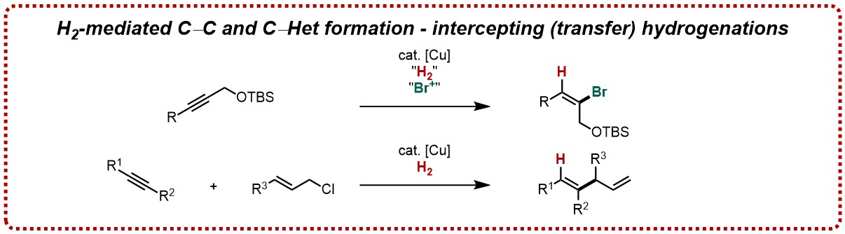 H2-mediated bond formation | Research | Organische Chemie | Institut ...