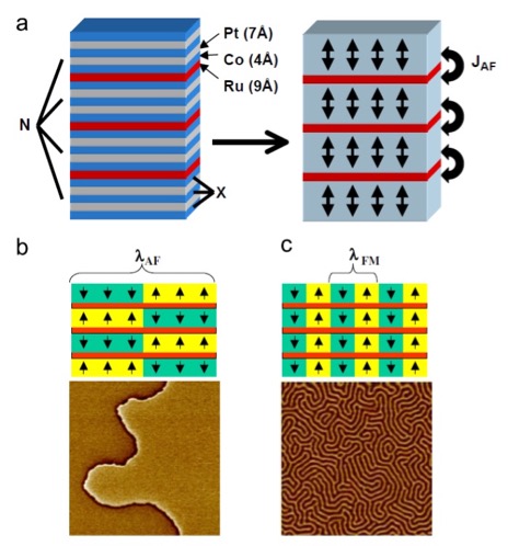 Magnetic Domain Formation