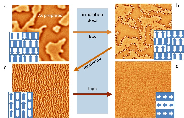 Ion Beam Irradiation